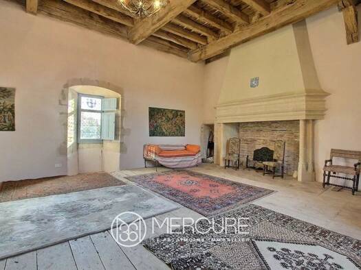 Annonces châteaux à vendre Monléon-Magnoac 65670, Seloger.com