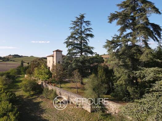 Annonces châteaux à vendre Monléon-Magnoac 65670, Seloger.com