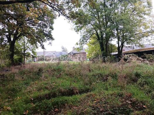 10 annonces fermes à vendre Ille-et-Vilaine 35 à partir de 56 000 ...