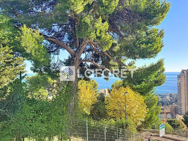 825 annonces studios (T1/F1) à louer Alpes-Maritimes 06 à partir de 345€, Seloger.com