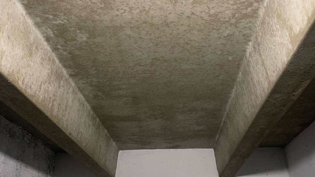 Garage/Stationnement à louer 12 m² 110 € Hôtel de Ville-Saint Louis-Cop ...