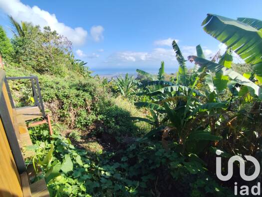 Annonces maisons 3 pièces ou T3 à vendre Le Port 97420, Seloger.com