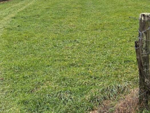 Annonces maisons à vendre Mathaux 10500, Seloger.com