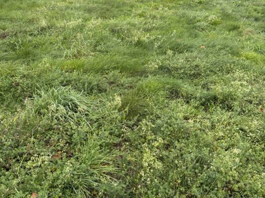 2 annonces terrains à vendre Faverges-de-la-Tour 38110 à partir de 69 ...