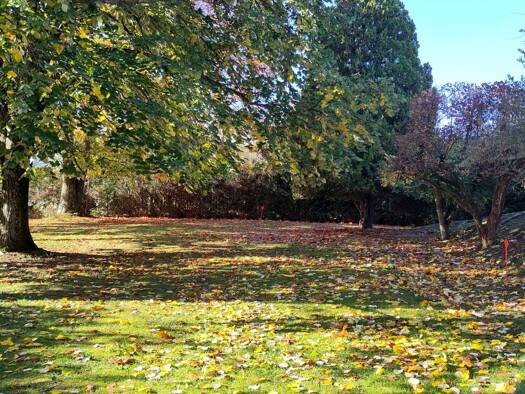 2 annonces terrains pas chers à vendre Chazay-d'Azergues 69380 à partir ...