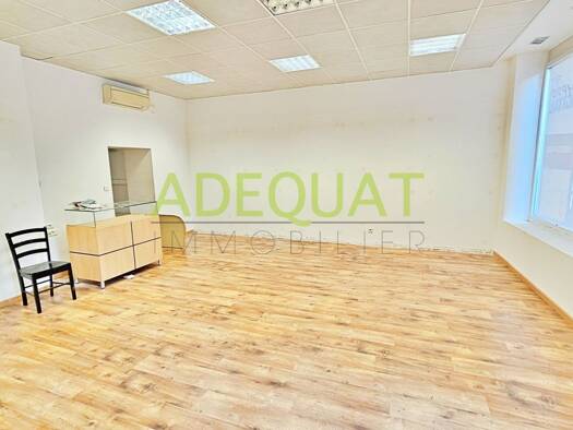 Annonces locaux commerciaux à vendre Domarin 38300, Seloger.com